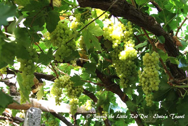 Chinese Legends – Journey to the West – Beyond the Little Red Dot