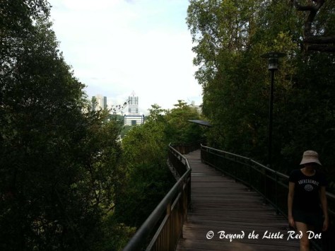 Hiking the Southern Ridges – Beyond the Little Red Dot