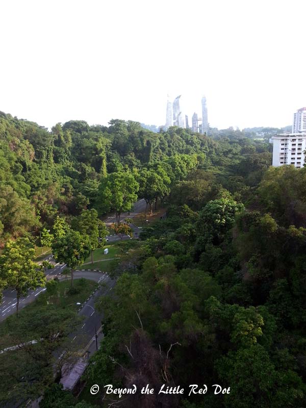 Hiking the Southern Ridges – Beyond the Little Red Dot